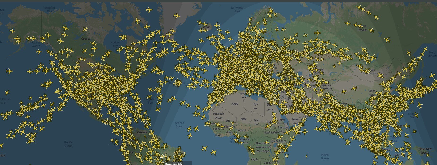 RadarBox24 – el rastreador de los vuelos online